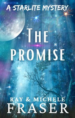 The Promise – Book Addict Book Blog